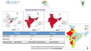 LSD symposium - P. Malik - Lumpy skin disease experience from India | PDF