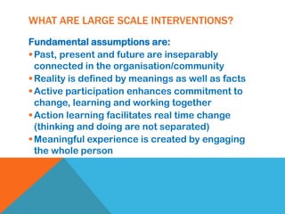 Large Scale Intervention Process (LSIP) | PDF