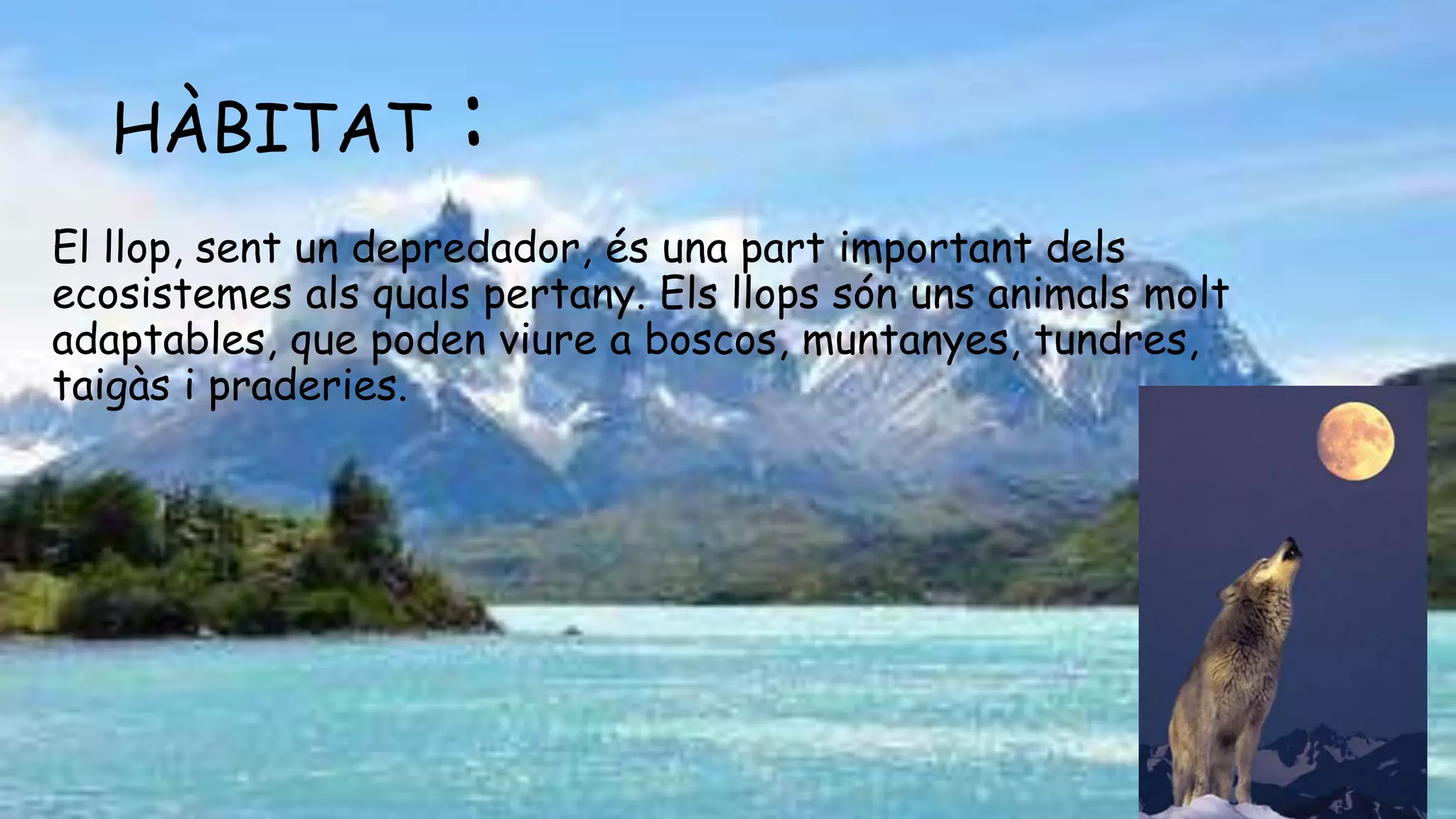 El llop - La Salle Manlleu | PPTX