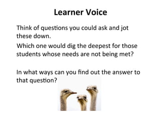 Learning Together: Reciprocal Mentoring & Learner Voice | PDF
