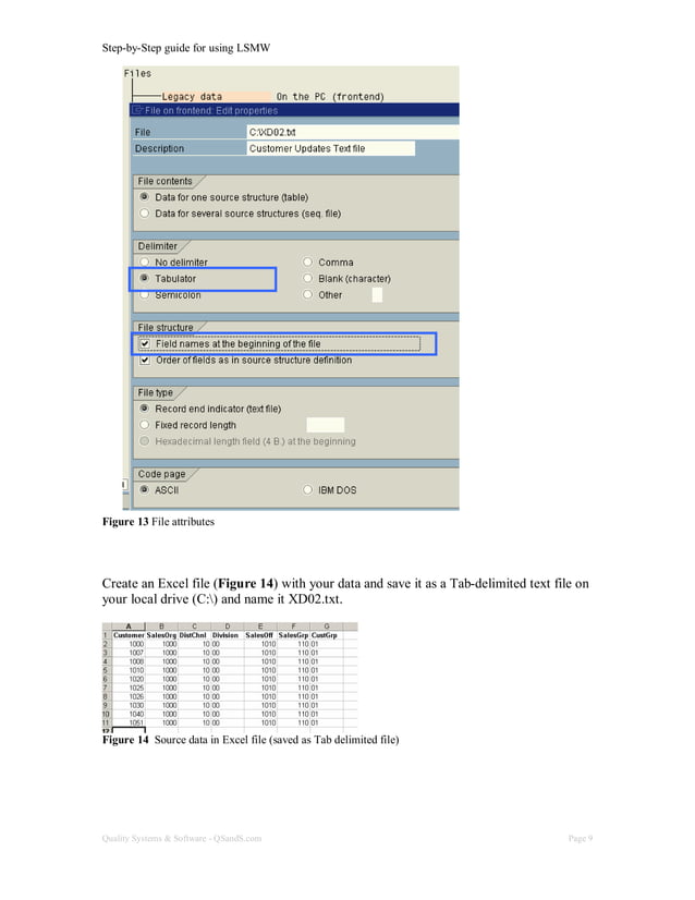 LSMW-STEP-BY-STEP-RECORD.pdf