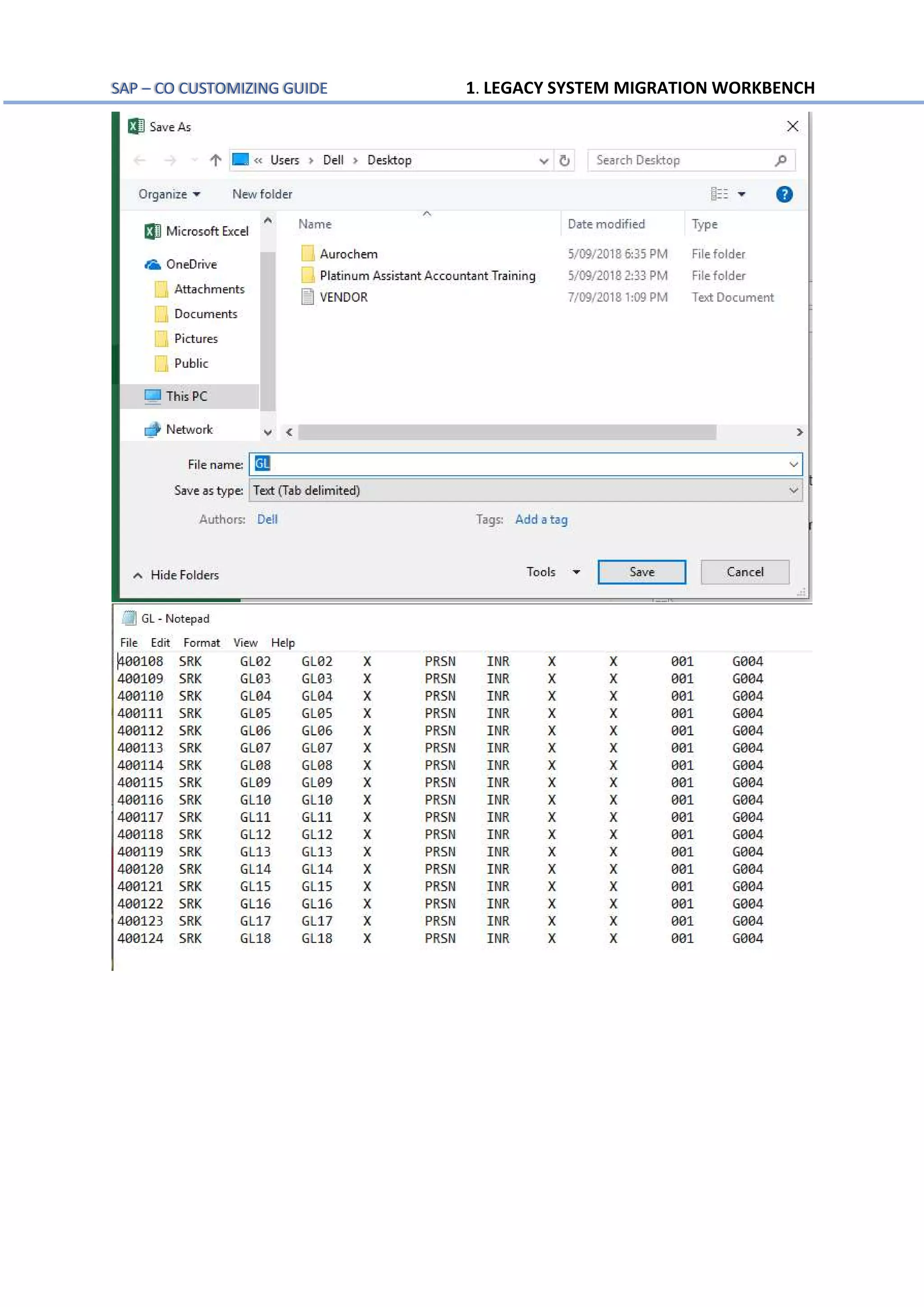 Lsmw step by- step | PDF