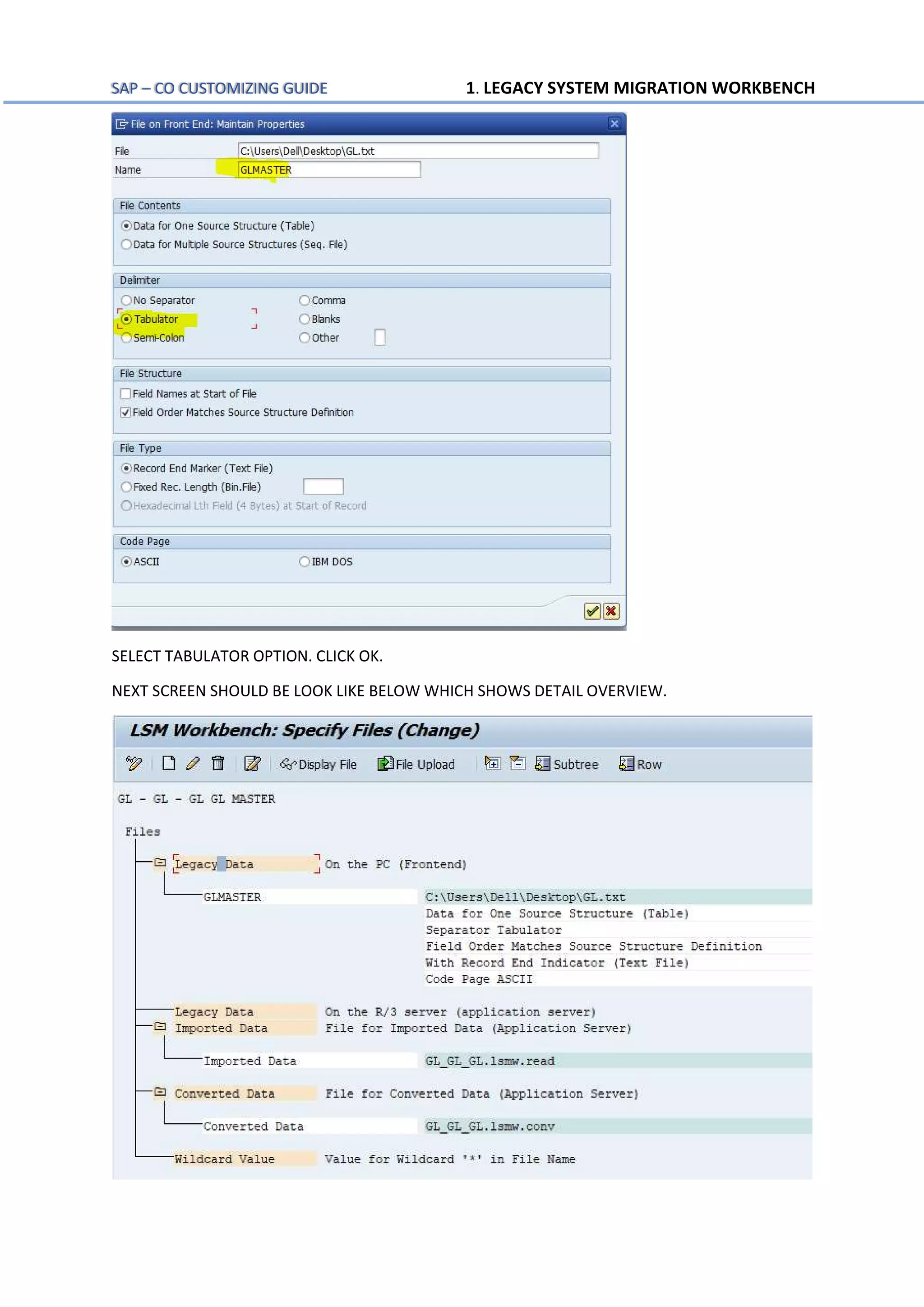 Lsmw step by- step | PDF