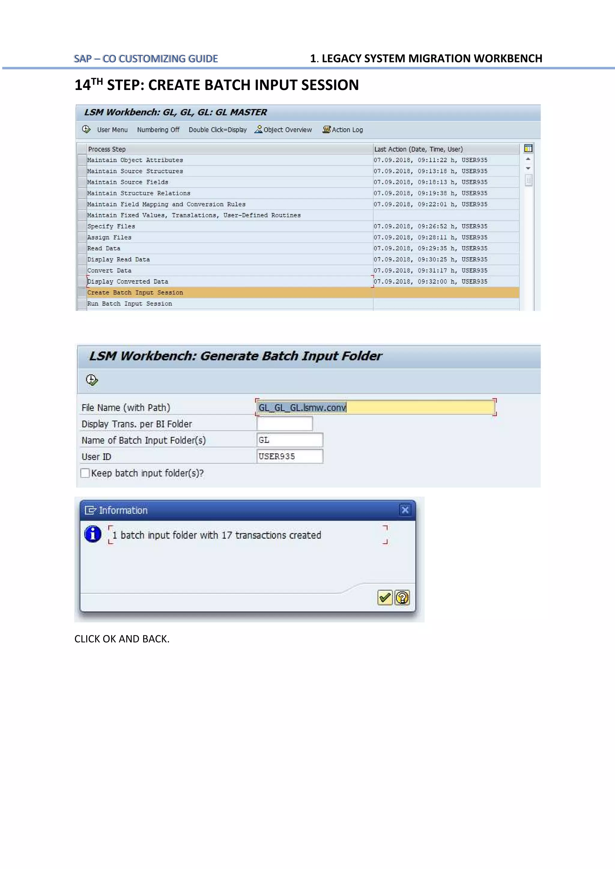 Lsmw step by- step | PDF