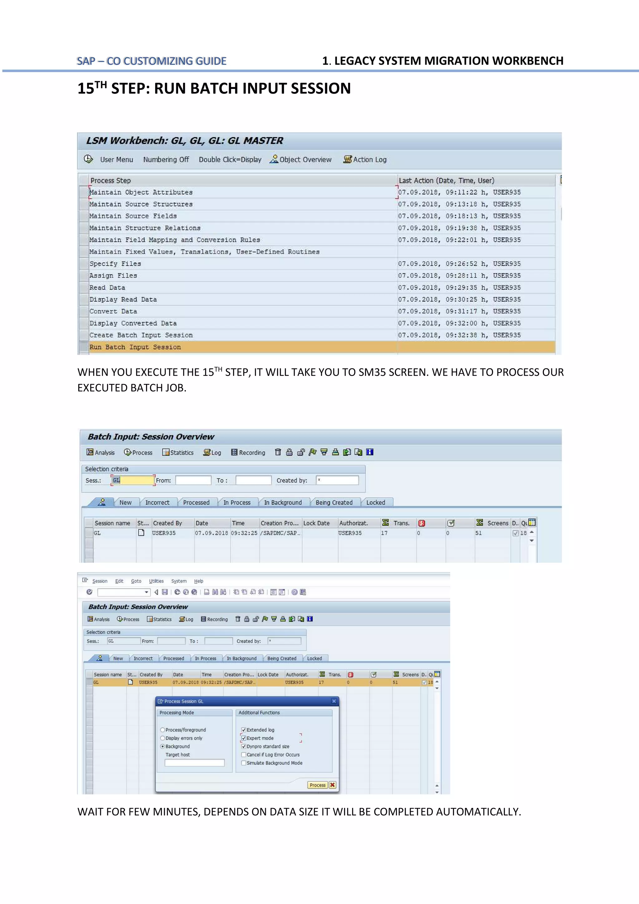 Lsmw step by- step | PDF