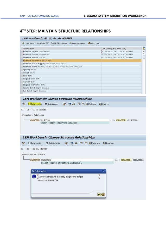 Lsmw step by- step | PDF