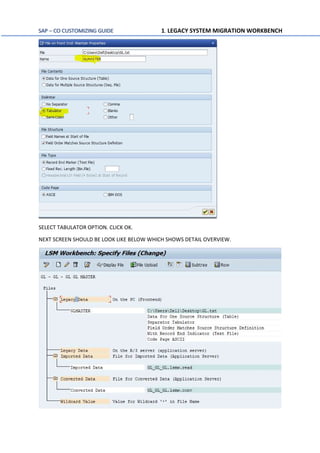 Lsmw step by- step | PDF