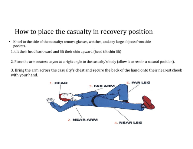 Lecture 7: first aid, choke, CPR, diabetes, bleed, burn | PPT