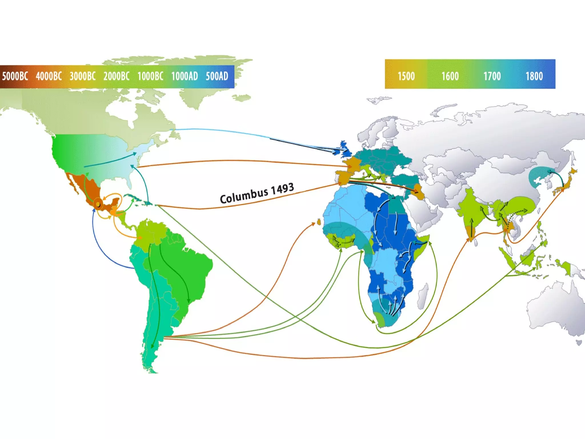 Lsn3 what are the effects of globalisation on population | PPT
