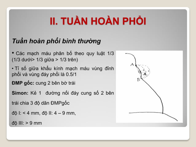 X QUANG TIM BẨM SINH | PDF