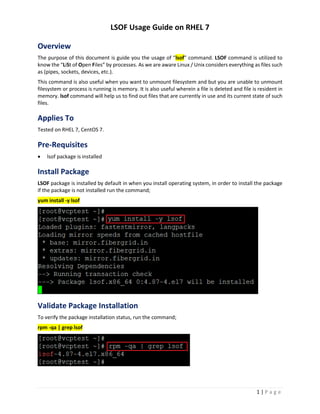 LSOF Command Usage on RHEL 7 | PDF