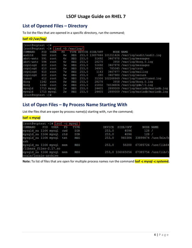 LSOF Command Usage on RHEL 7 | PDF