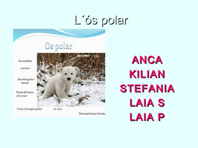 L´ós polar | PPT