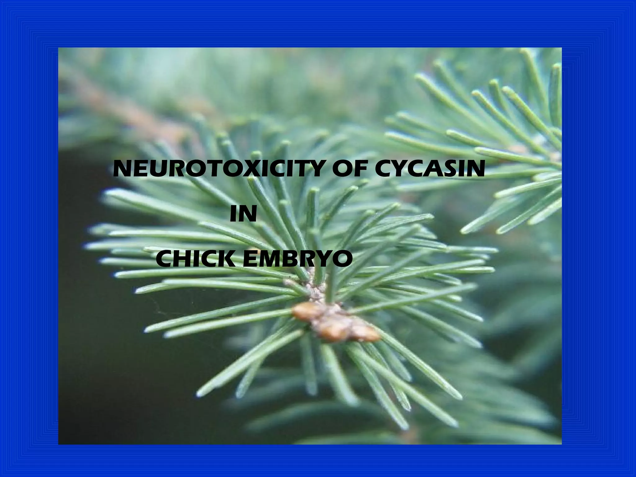 NEUROTOXICITY OF CYCASIN IN CHICK EMBRYO | PPT | Chemistry | Science