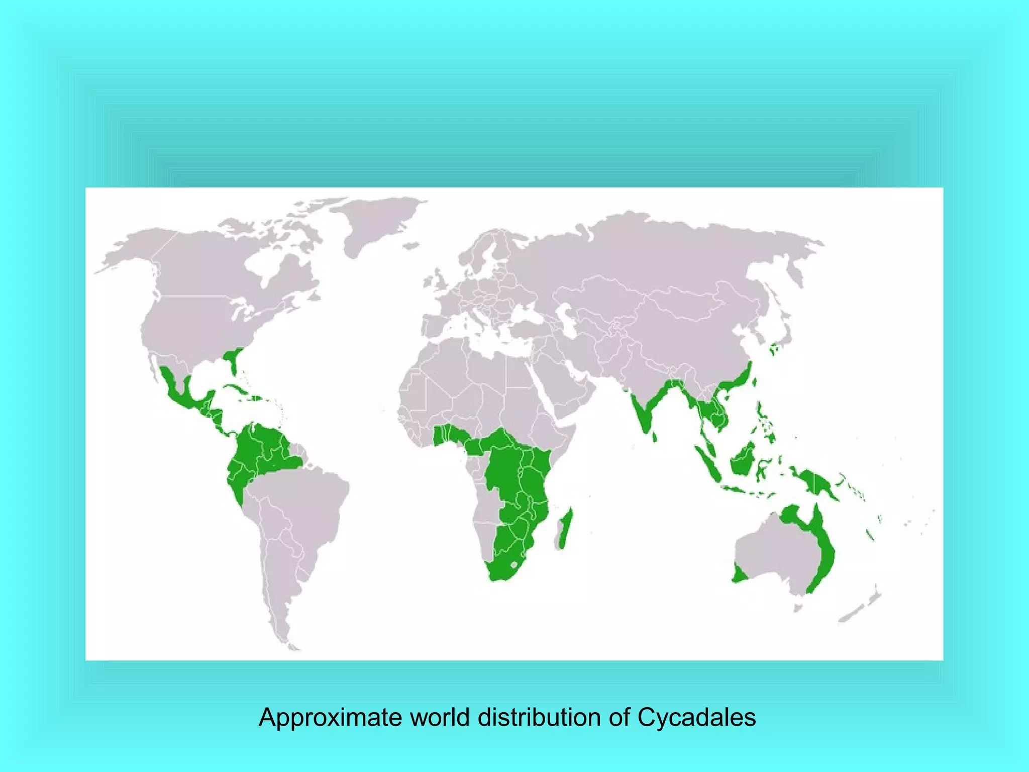 NEUROTOXICITY OF CYCASIN IN CHICK EMBRYO | PPT | Chemistry | Science