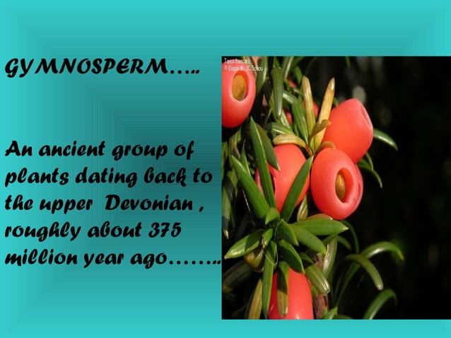 NEUROTOXICITY OF CYCASIN IN CHICK EMBRYO | PPT