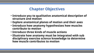 Musculoskeletal Anatomy for Exercise science | PPTX
