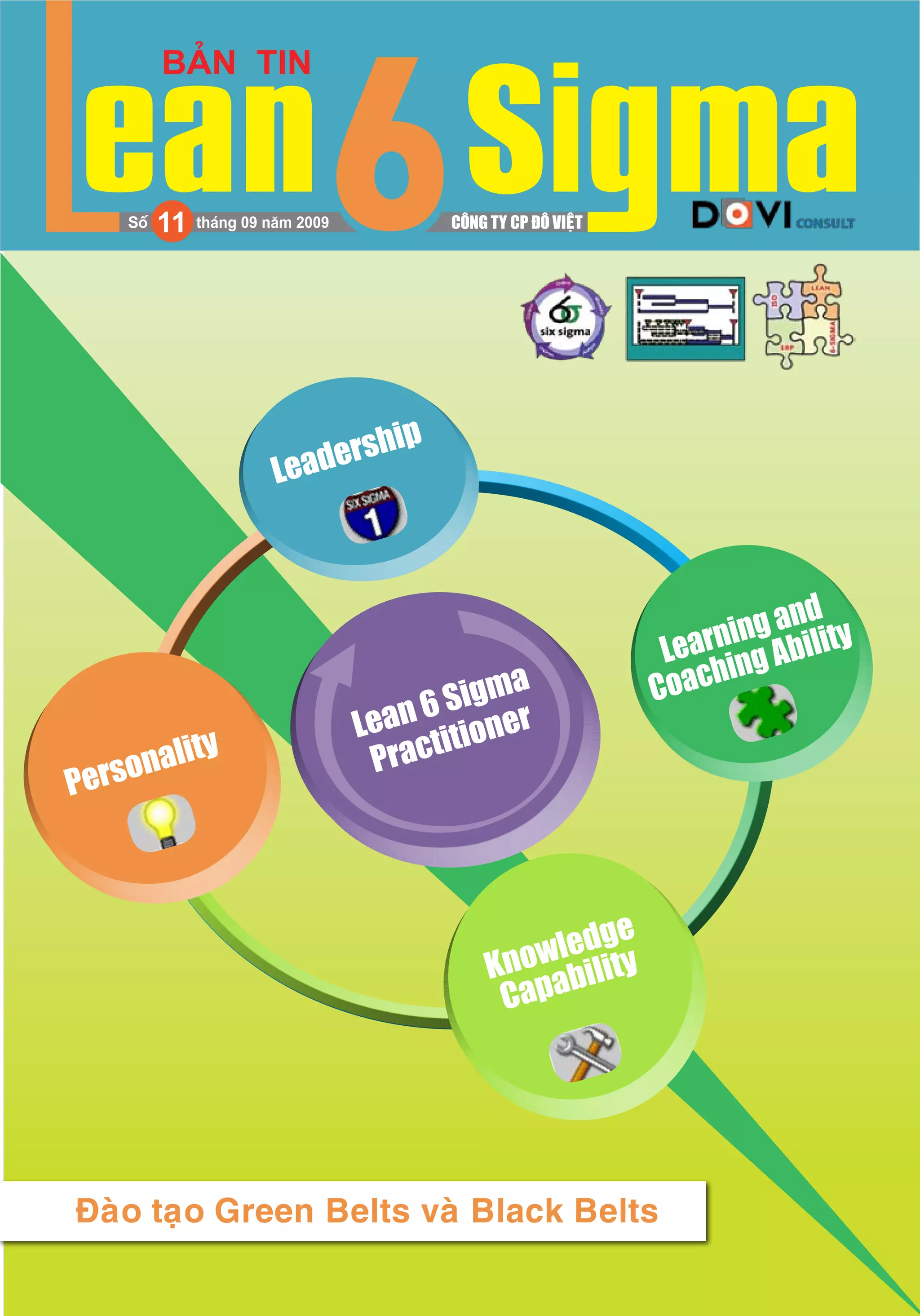Lean 6 Sigma Số 11 | PDF