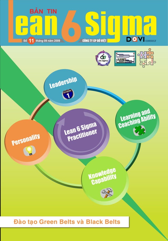 Lean 6 Sigma Số 11 | PDF