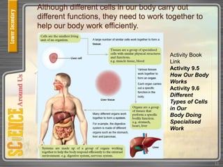 Lss module 3 chpt 9 cells | PPT
