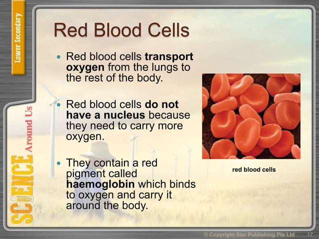 Lss module 3 chpt 9 cells | PPT
