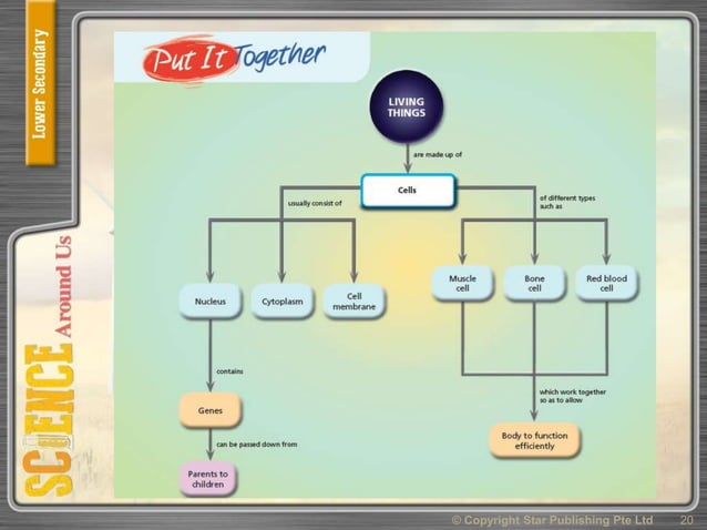 Lss module 3 chpt 9 cells | PPT