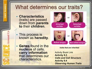 Lss module 3 chpt 9 cells | PPT