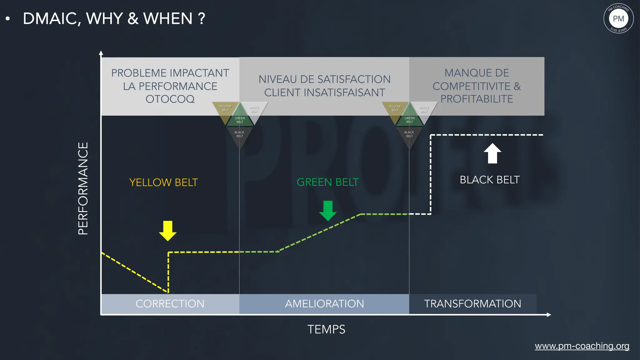 LSSWB#04 DMAIC_Improvement_Essential.pdf
