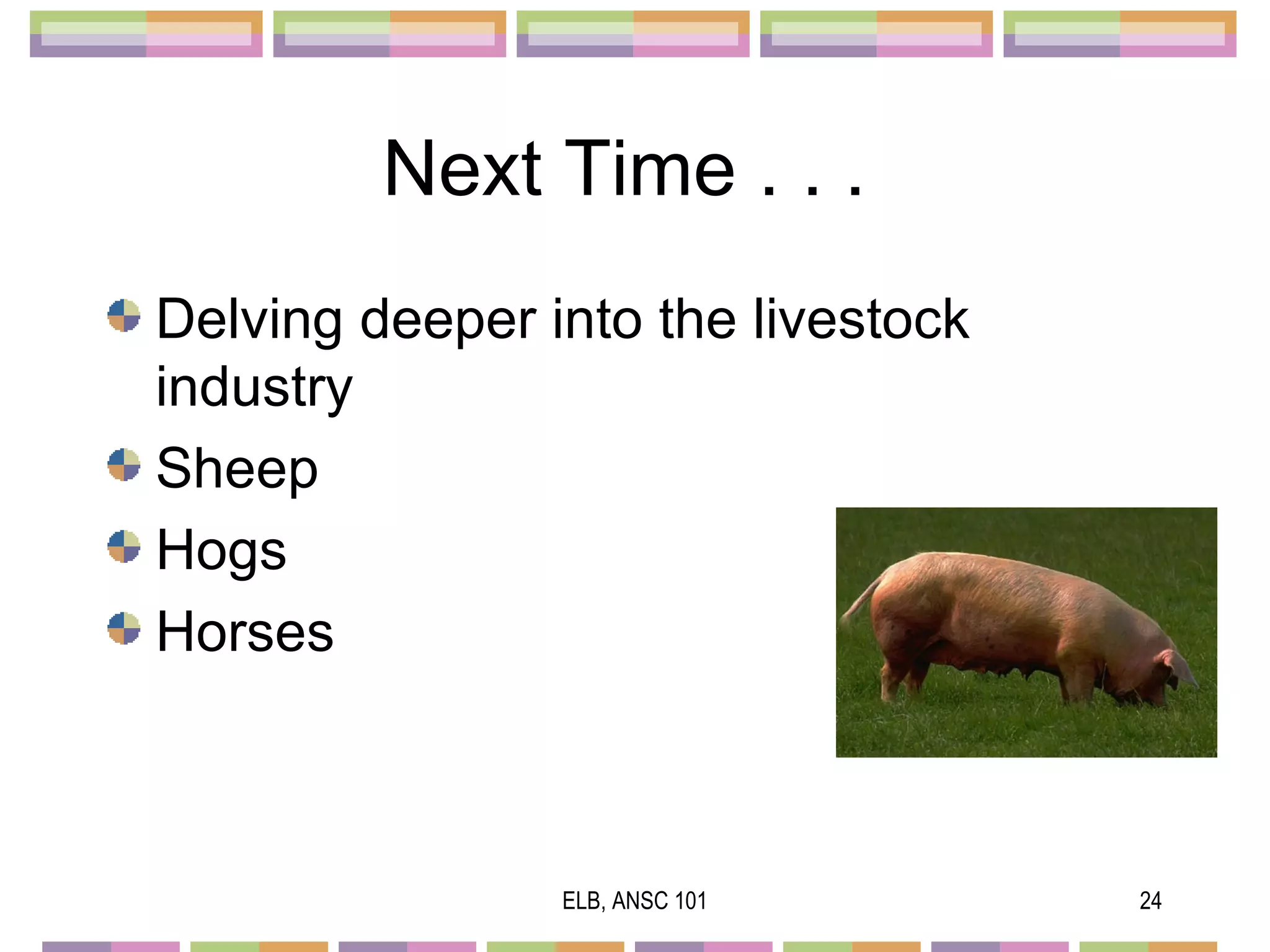 Introduction to Livestock Industries | PPT | Agriculture | Industries