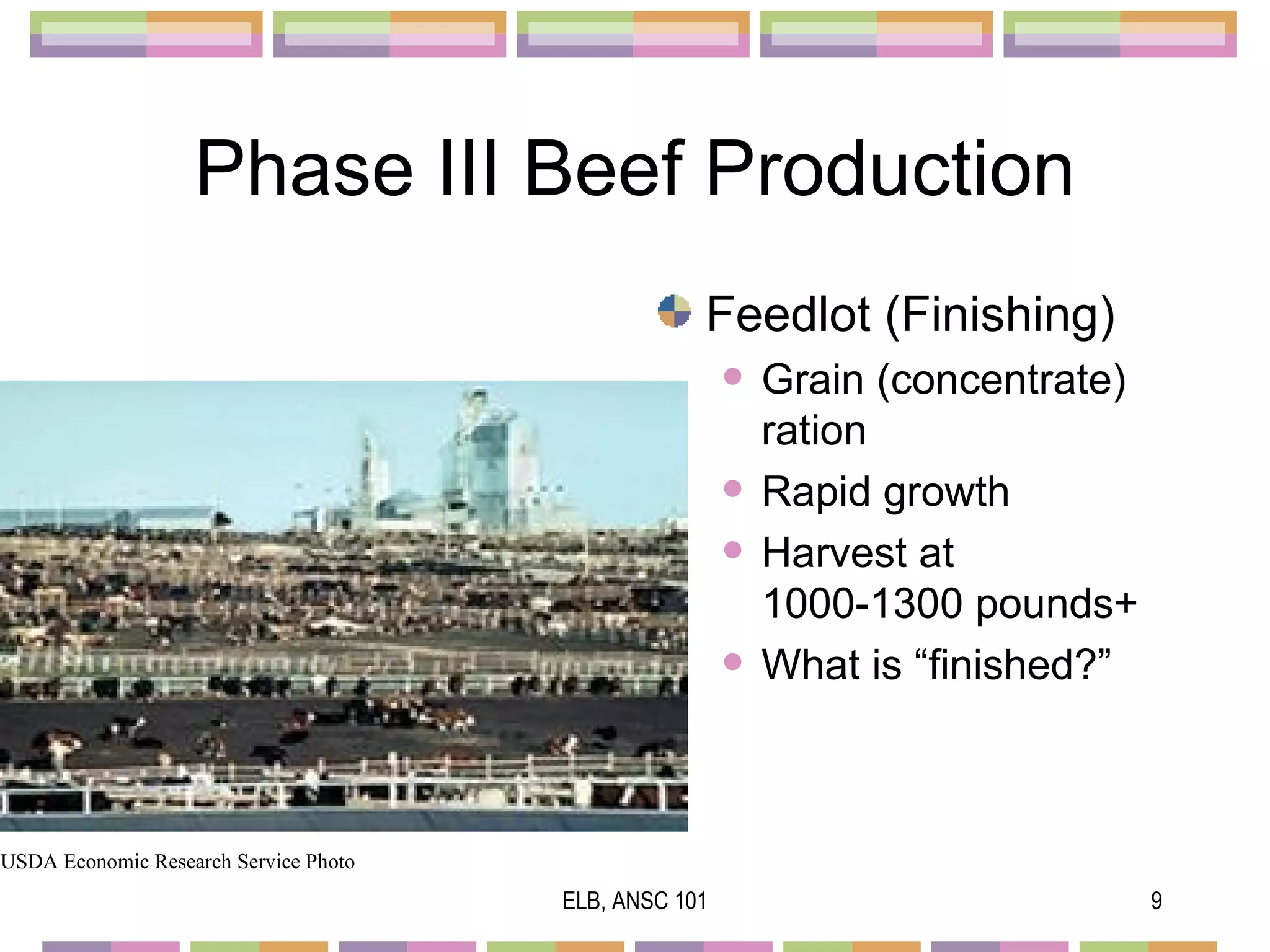 Introduction to Livestock Industries | PPT
