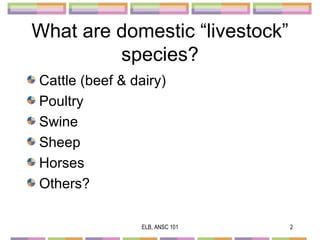 Introduction to Livestock Industries | PPT | Agriculture | Industries