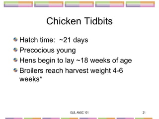 Introduction to Livestock Industries | PPT