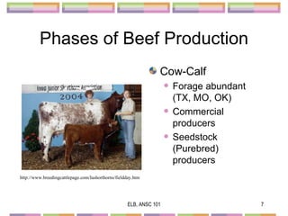 Introduction to Livestock Industries | PPT