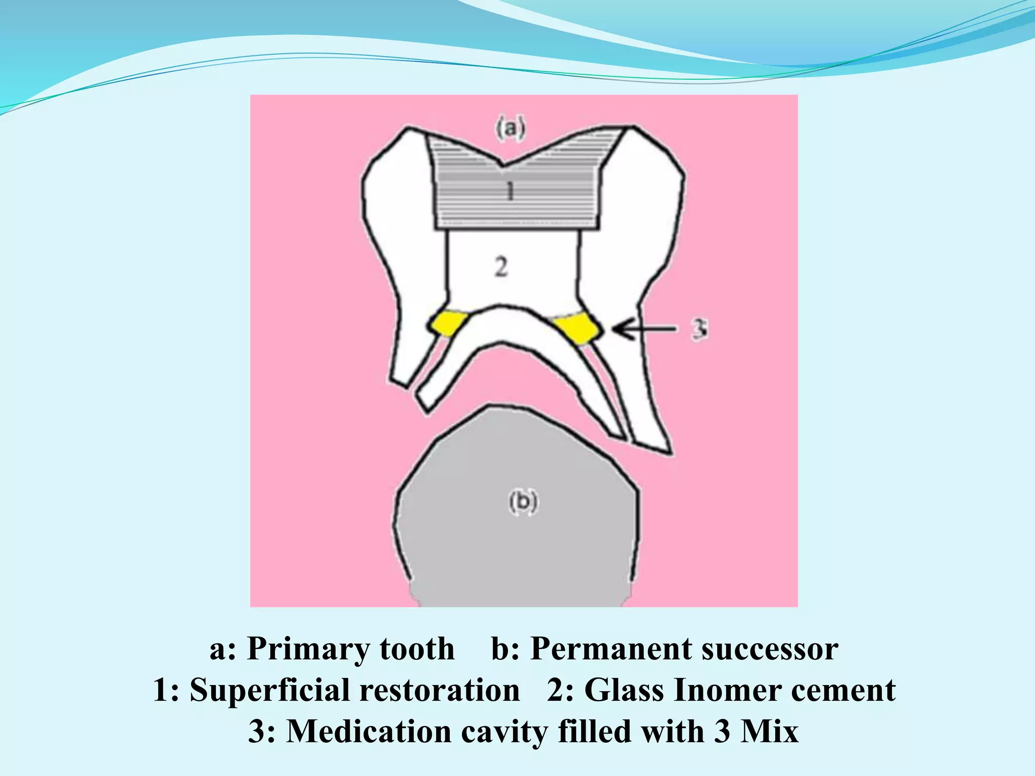 Lesion Sterilization & Tissue Repair | PPTX