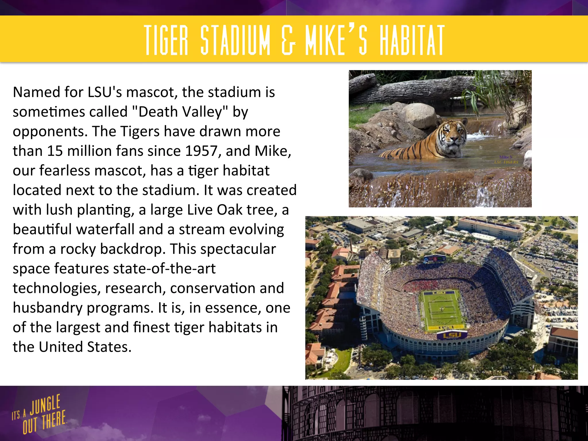 LSU Flores MBA Campus Life | PPT