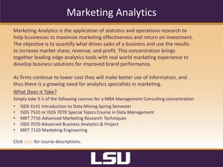LSU Flores MBA: Specializations | PDF