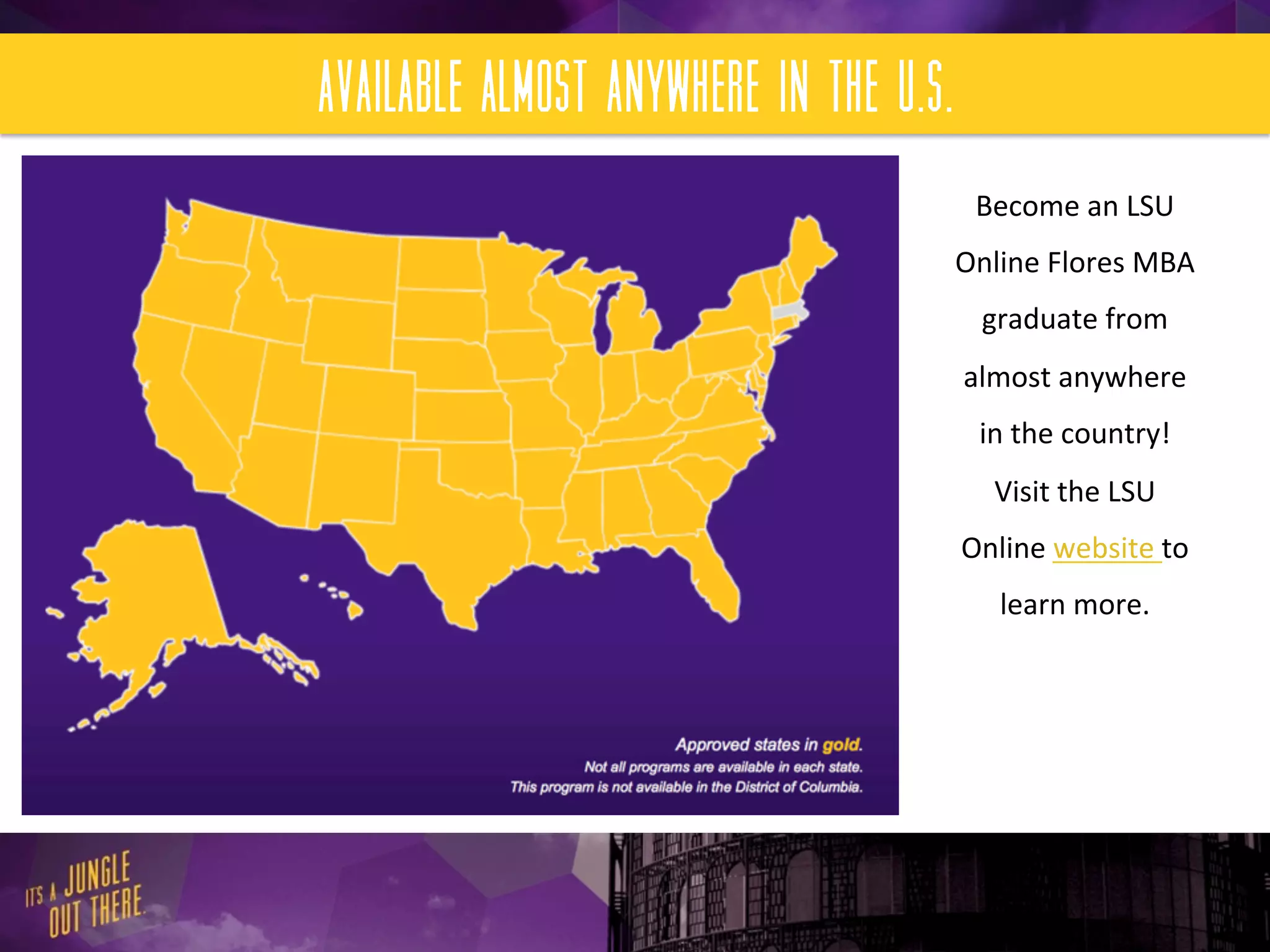 LSU Flores MBA Online MBA | PDF