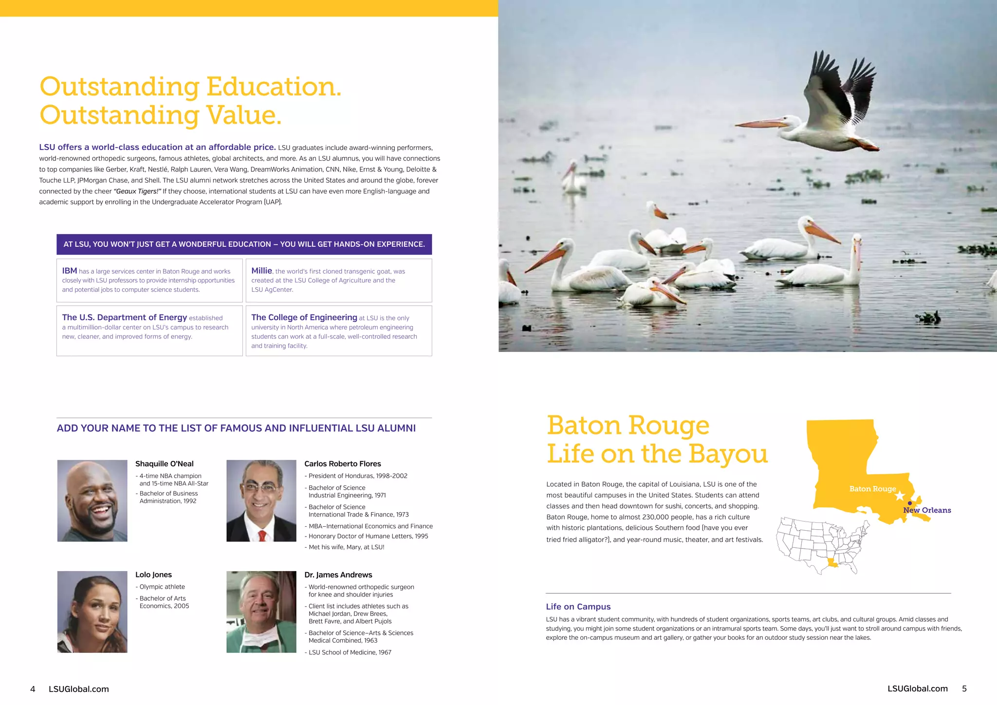 Louisiana State University brochure_guidebook_10.26.15_lrnc | PDF