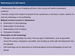 8. Biology and characterization of cultured cells | PPT