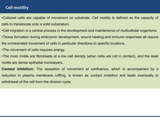 8. Biology and characterization of cultured cells | PPT