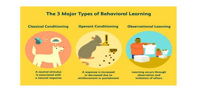 BEHAVIOURAL THEORY OF PAVLOV | PPTX | Educational Assessment | Education