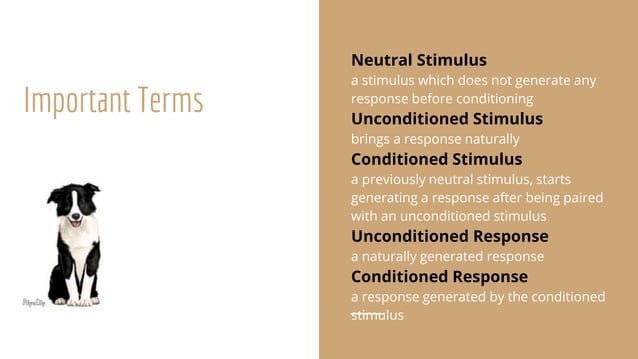 BEHAVIOURAL THEORY OF PAVLOV | PPTX | Educational Assessment | Education