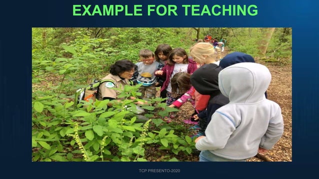 CHARACTERISTICS OF EFFECTIVE AND INEFFECTIVE TEACHING | PPTX