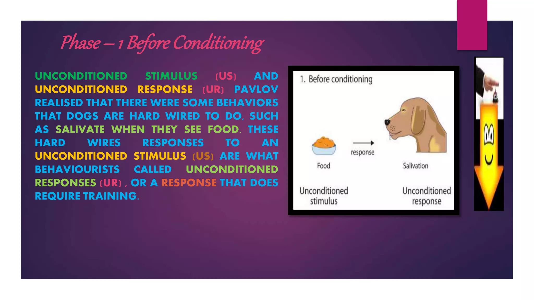 CLASSICAL CONDITIONING THEORY | PPT