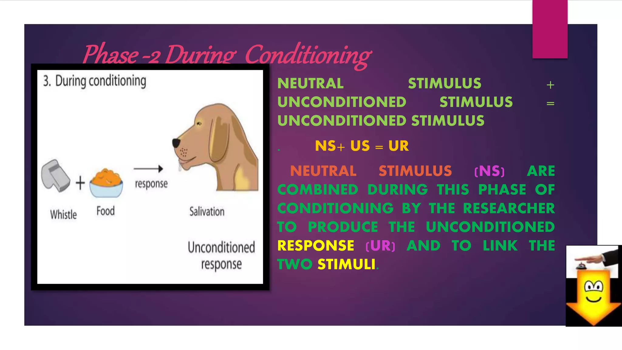 CLASSICAL CONDITIONING THEORY | PPT
