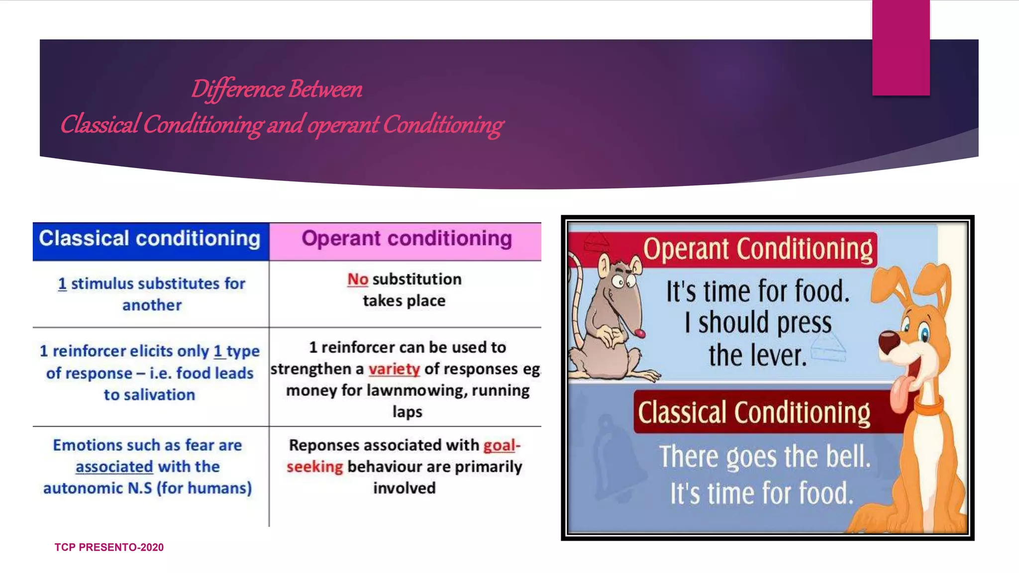 CLASSICAL CONDITIONING THEORY | PPT