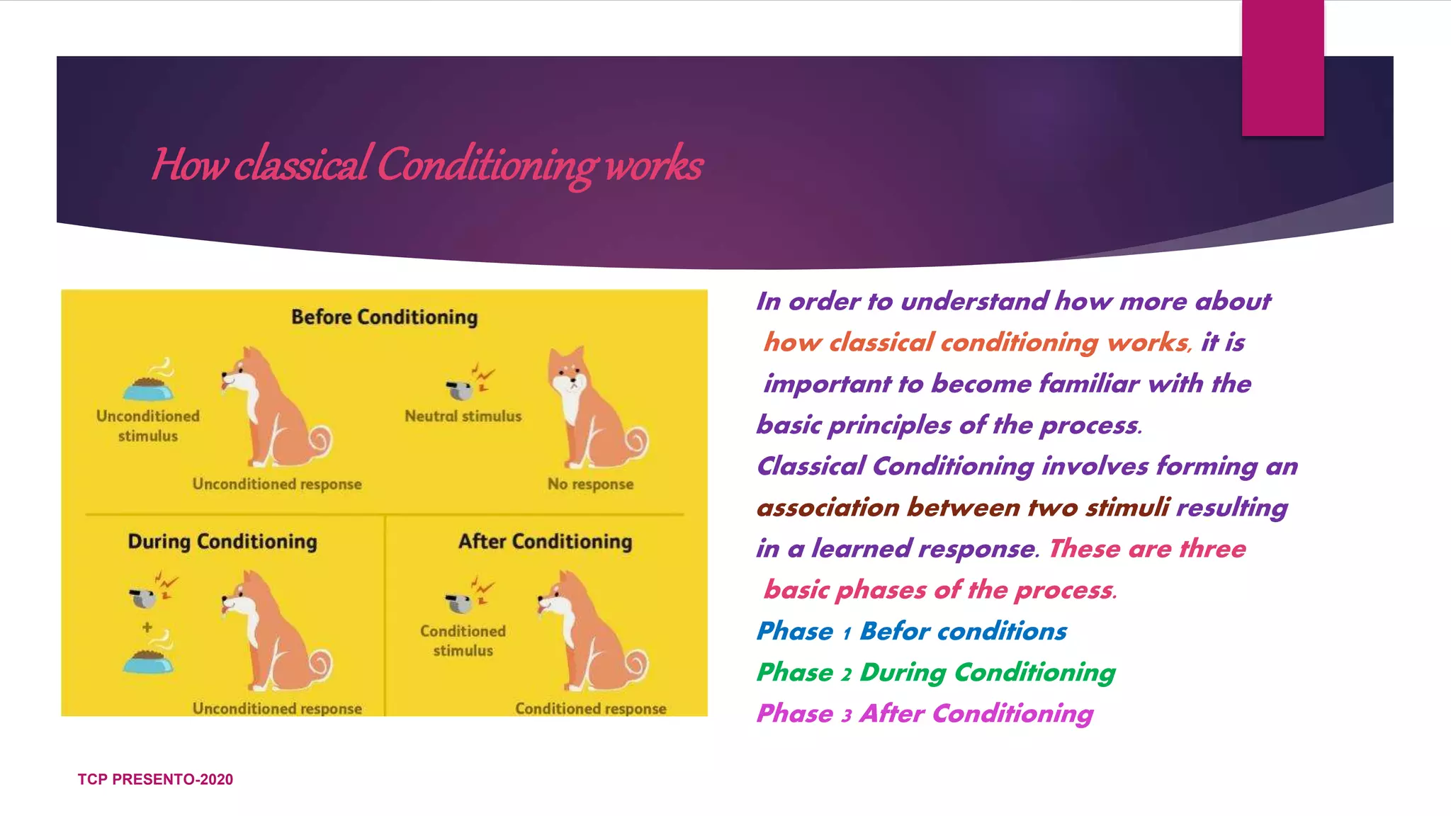 CLASSICAL CONDITIONING THEORY | PPT
