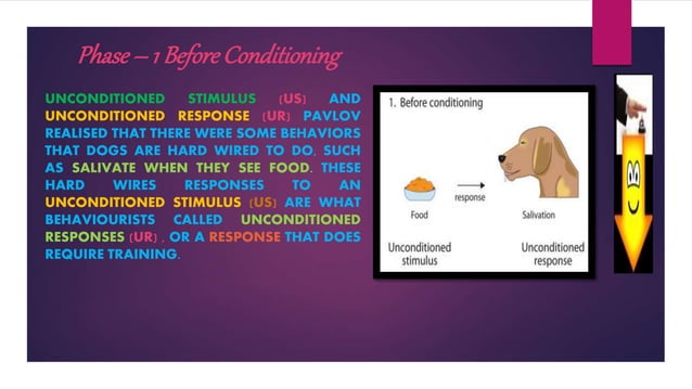 CLASSICAL CONDITIONING THEORY | PPT