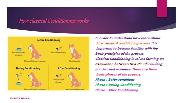 CLASSICAL CONDITIONING THEORY | PPT