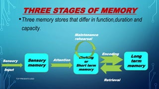 MEMORY | PPT